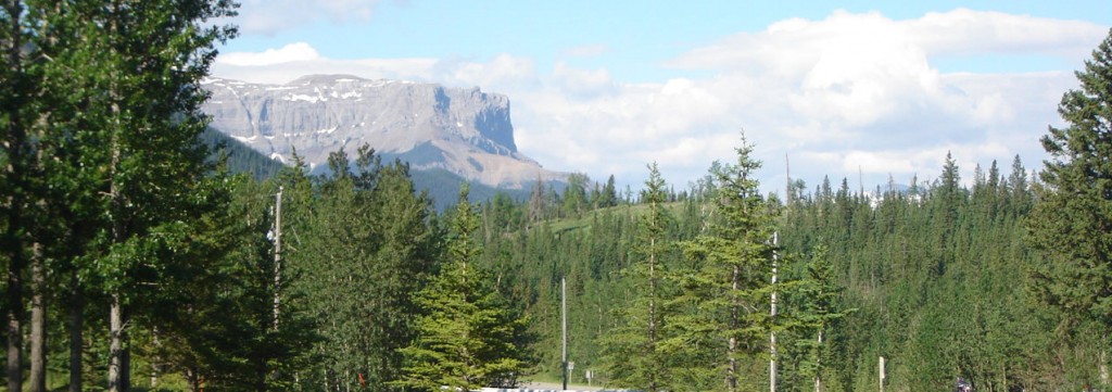 Jasper Gates Resort & RV | Just Minutes from Jasper National Park. Book ...